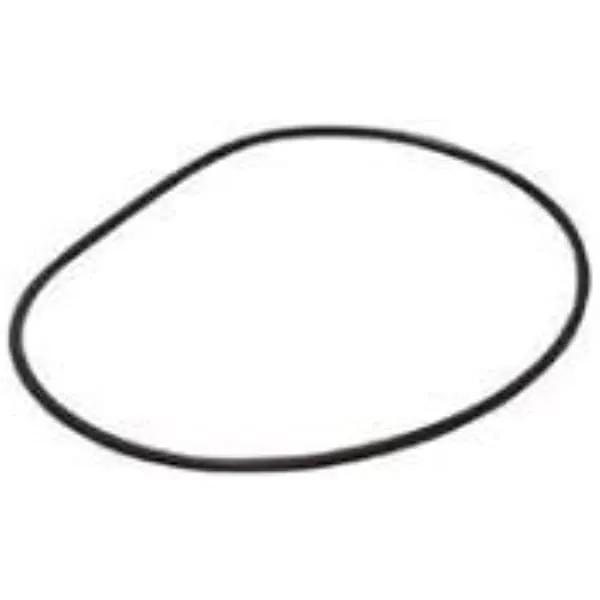 Bio Lid O'Ring | SuperPump Water Pumps Online Shop